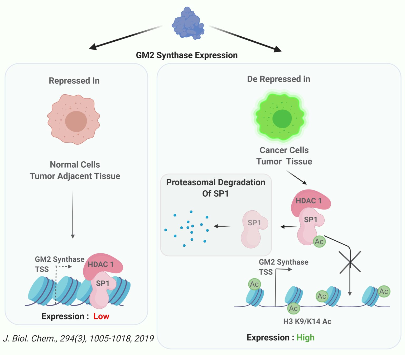 Research – Kaushik Biswas