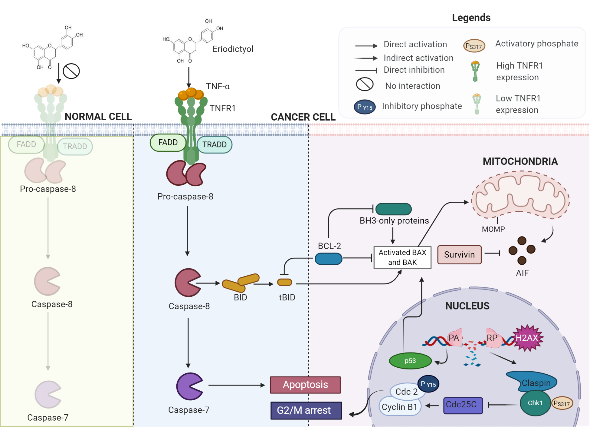 Research – Kaushik Biswas