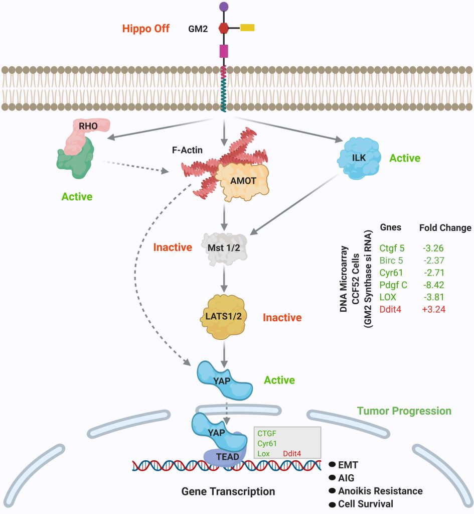 Research – Kaushik Biswas